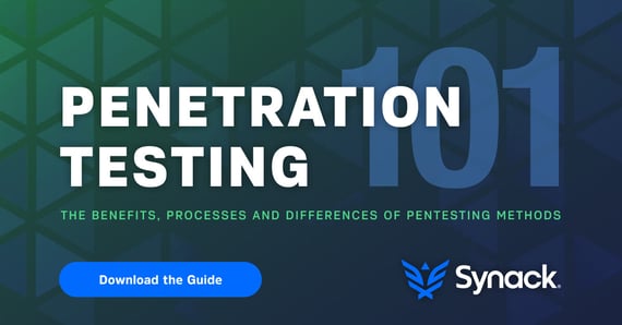 Penetration Testing Guide